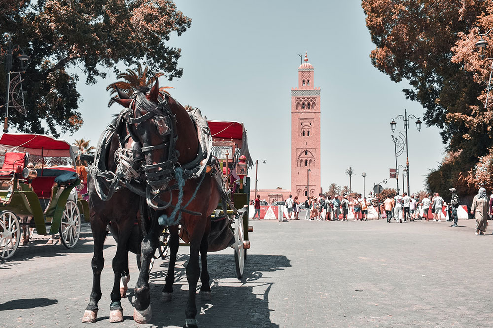 Voyage au Maroc | Escapade à Marrakech • Selectour Carol' Voyages